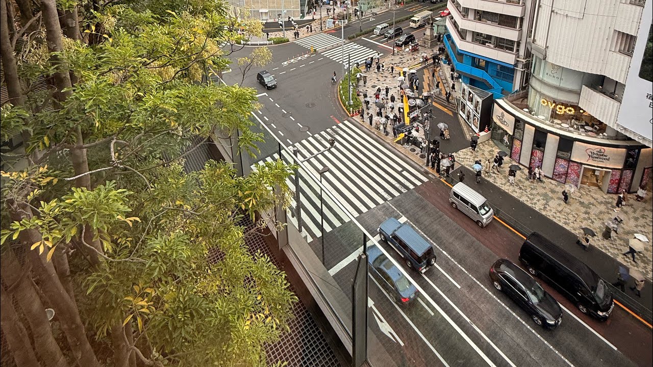 Nice view #shibuya #tokyo #japan #travel - YouTube
