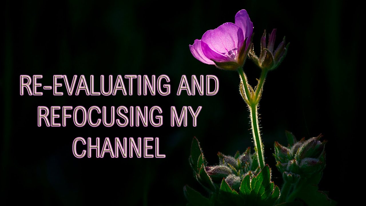 Re-evaluating and Refocusing my Channel - YouTube