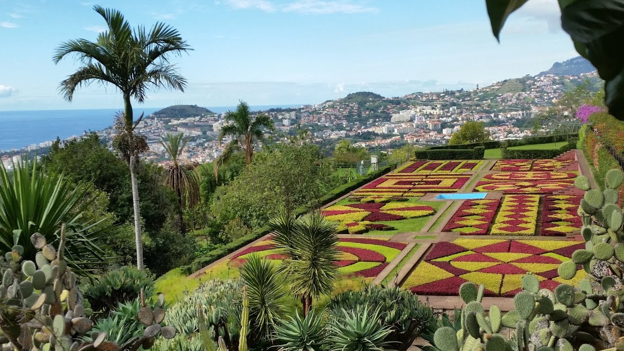 Spaziergang durch die Hauptstadt von Madeira Funchal (4k) - YouTube