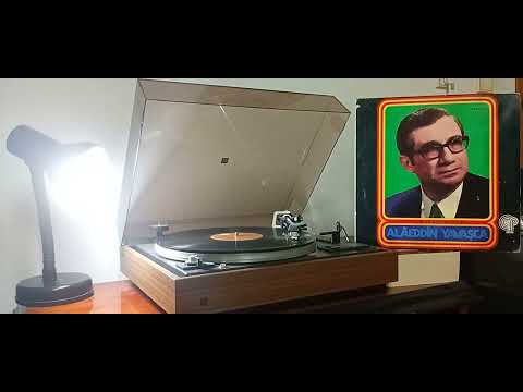 Alaaddin Yavaşça / Ağlar gezerim sahili 