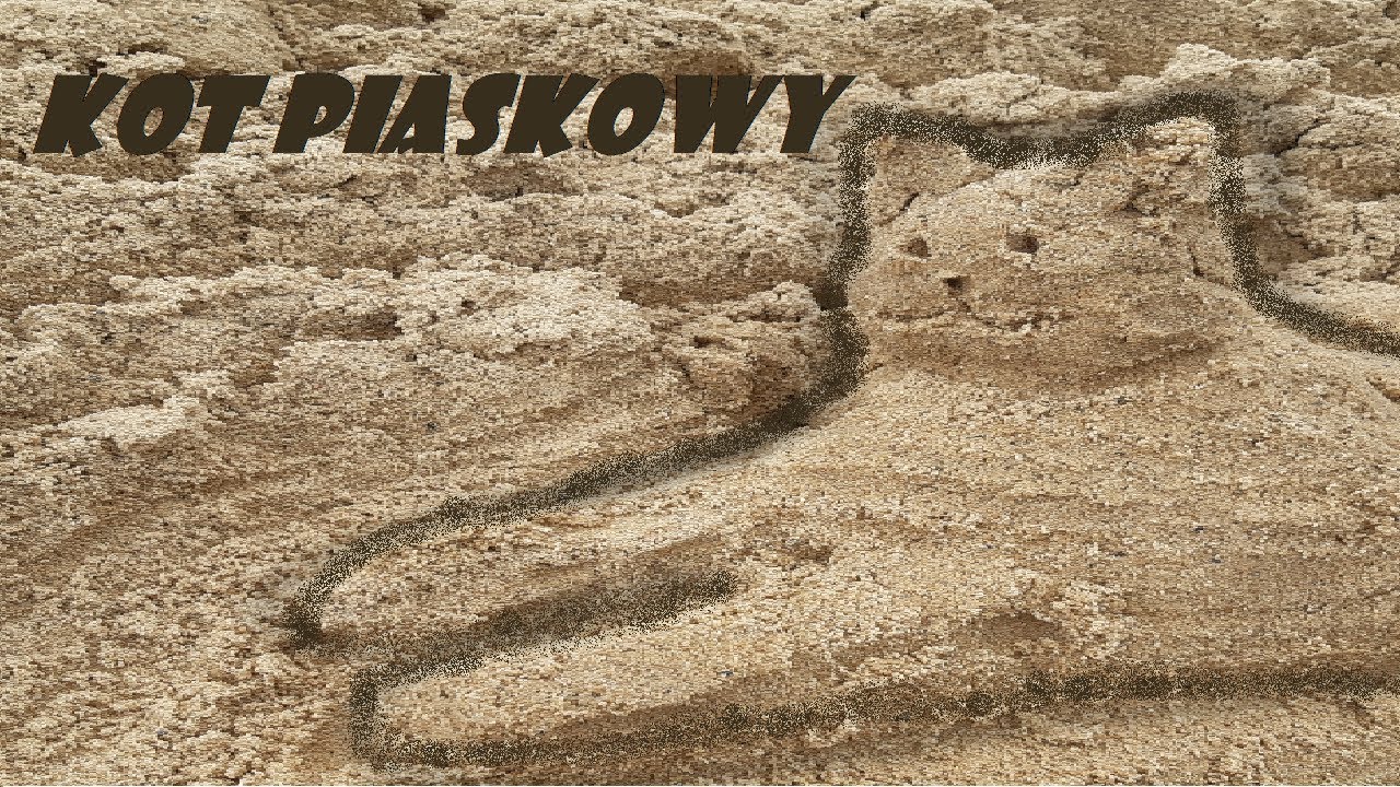 KOT PIASKOWY - YouTube