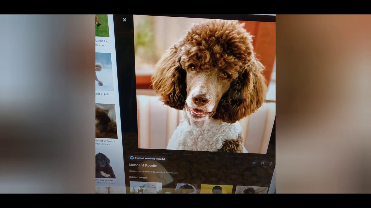 Unboxing & Review Of Dell Inspiron 22 3000 3280 All In One Computer ...