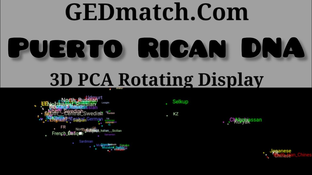 Puerto Rican DNA 3D Rotating Display! - YouTube