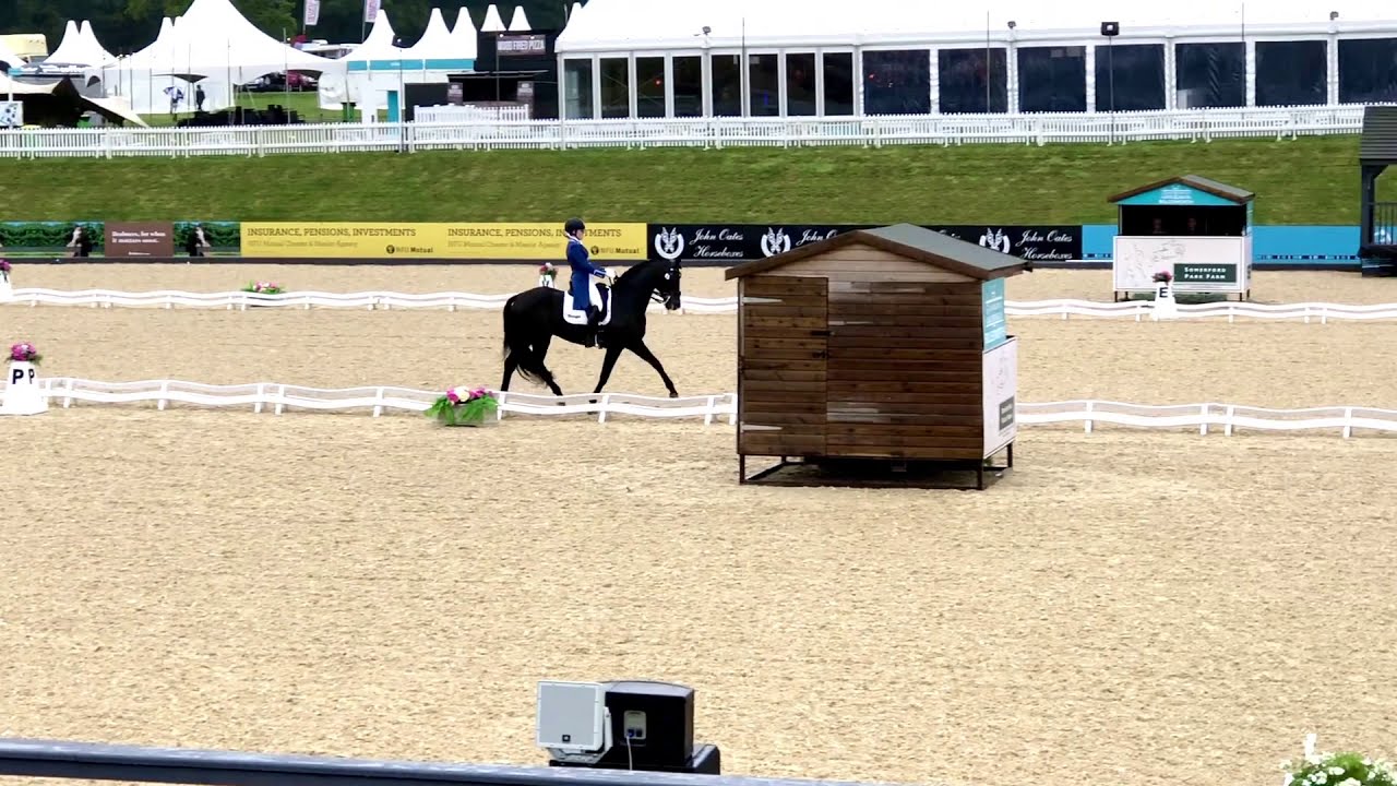 Robyn Smith Dressage - YouTube