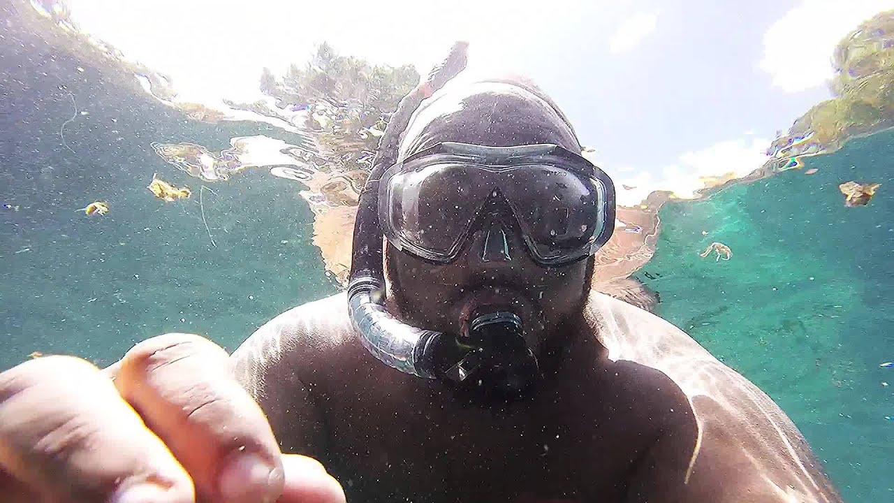 Snorkeling at Vortex Springs in Ponce De Leon FL - Huge Bass and Koi ...