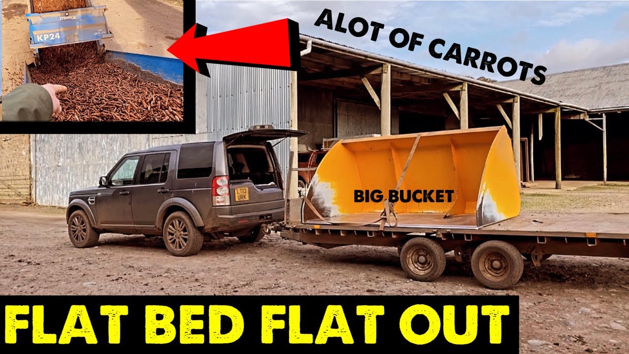 BIG MIX OF CATTLE GRUB | FARM SHOP CARROTS | MALT BARLEY LOADED # ...