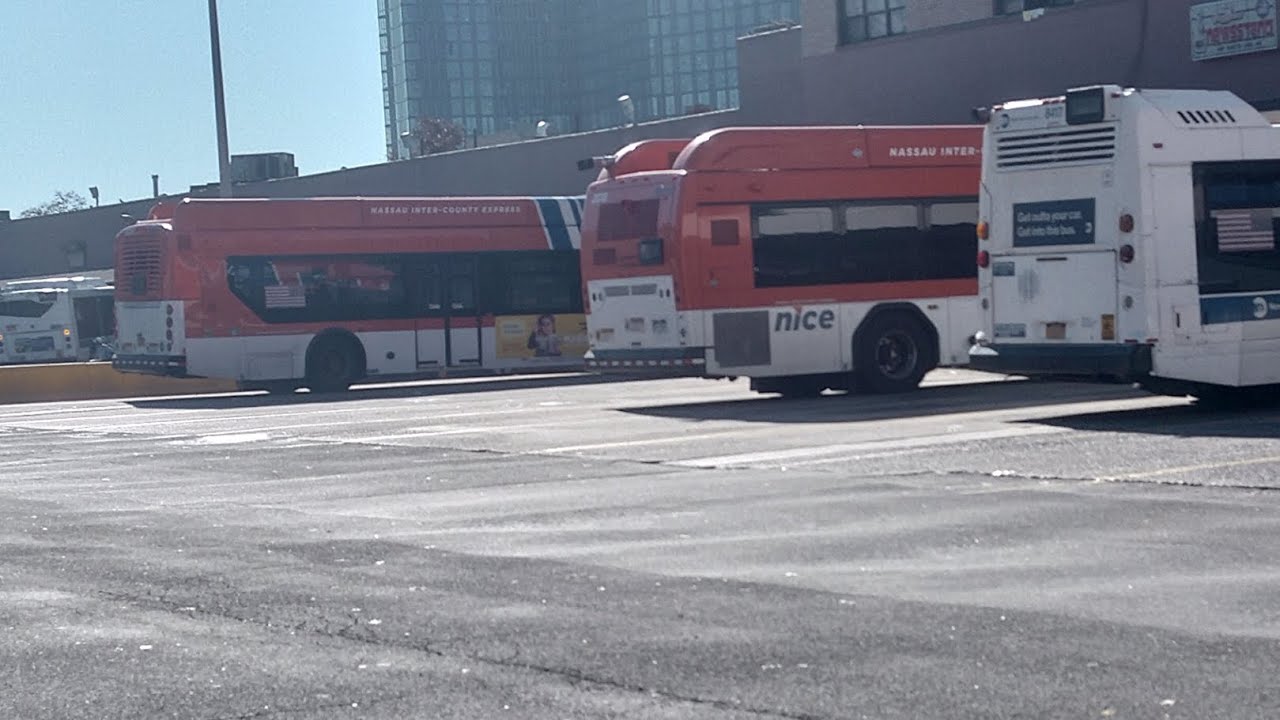 MTA NYCT/MTA Bus Company/NICE bus action at Jamaica - 165th street bus ...