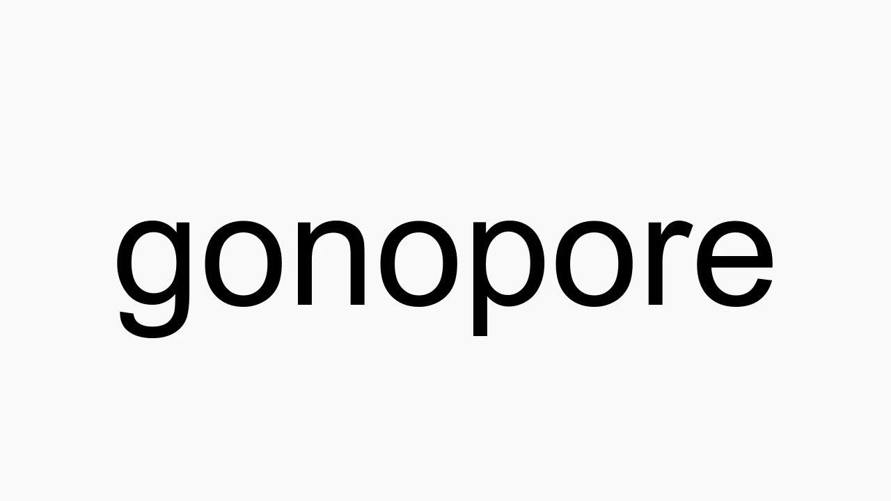 How to pronounce gonopore - YouTube