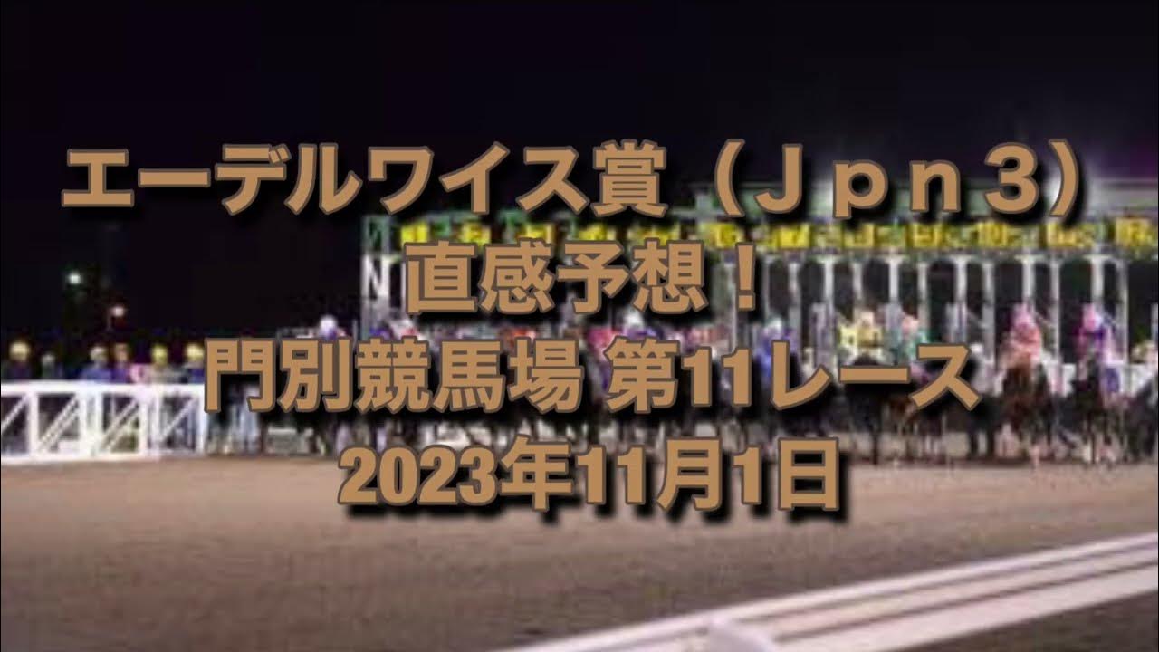 エーデルワイス賞（Jpn3） 直感予想！ 門別競馬場 第11レース 2023年11月1日 - YouTube