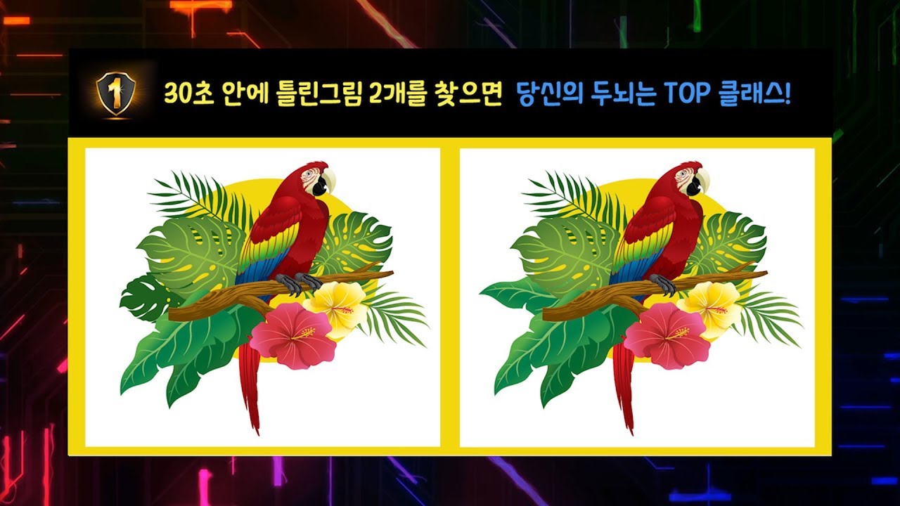 틀린그림찾기로 재밌게 치매예방하기 두뇌를 Top클래스로 Subeng 두뇌세포활성 집중력향상 두뇌게임 관찰력테스트