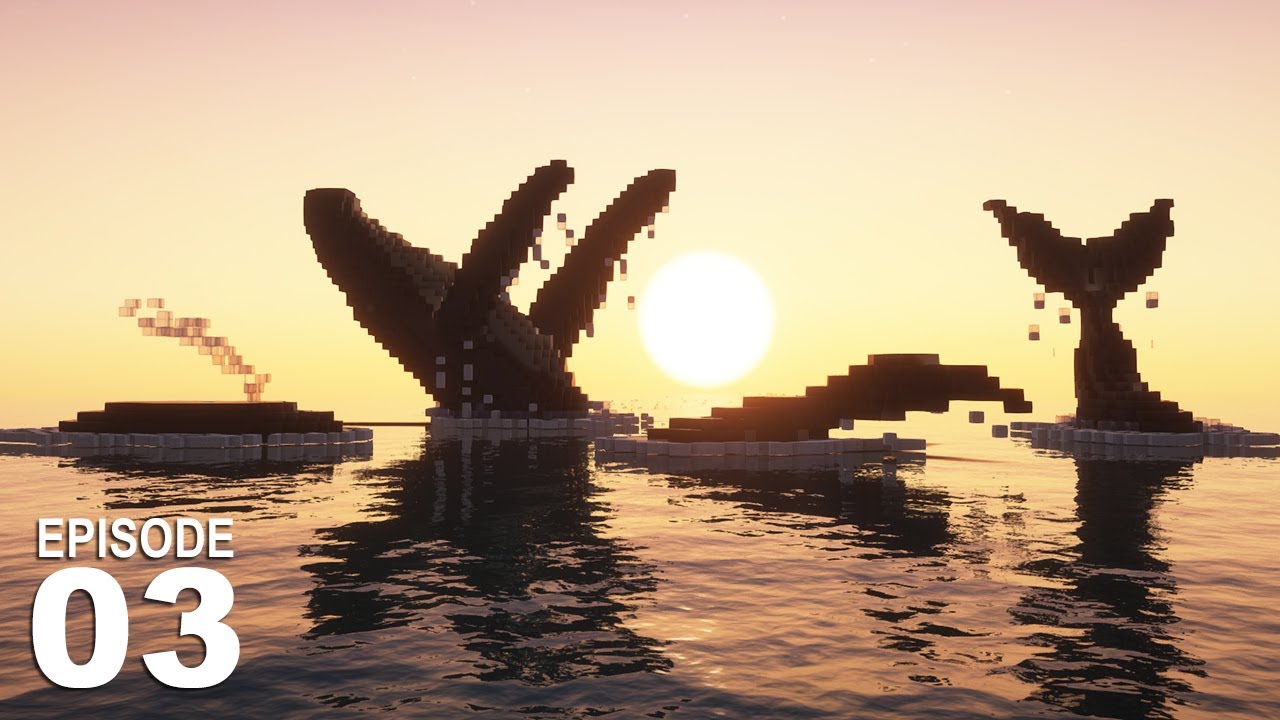 Whales at Sunrise | Minecraft Hardcore - YouTube