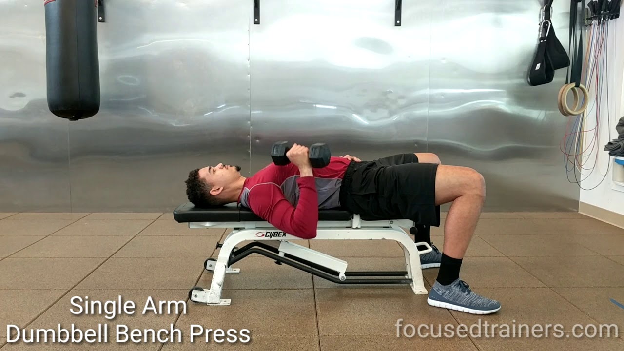 Single Arm Dumbbell Bench Press- Los Altos, CA - YouTube