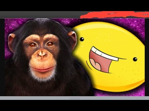 Chimbot: Hablando con el mono pervertido y pendejo # asi son los monos ...