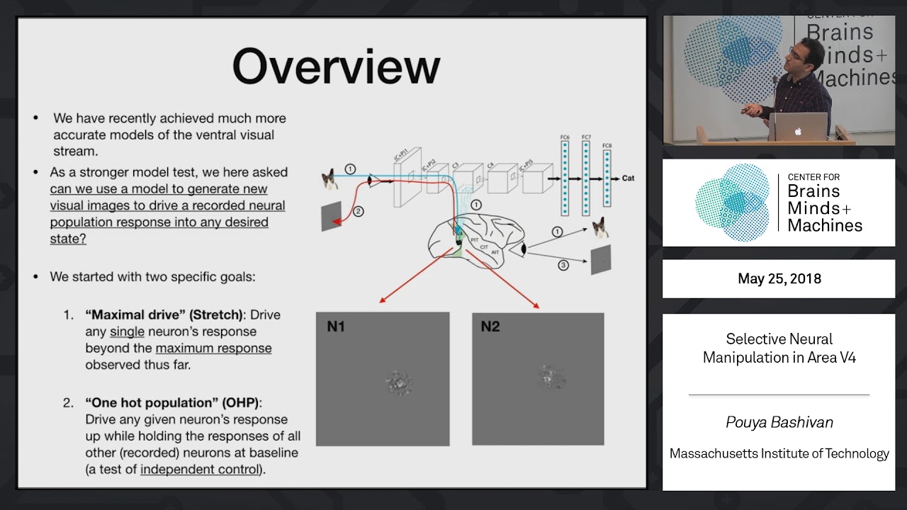 Selective Neural Manipulation in Area V4 - YouTube