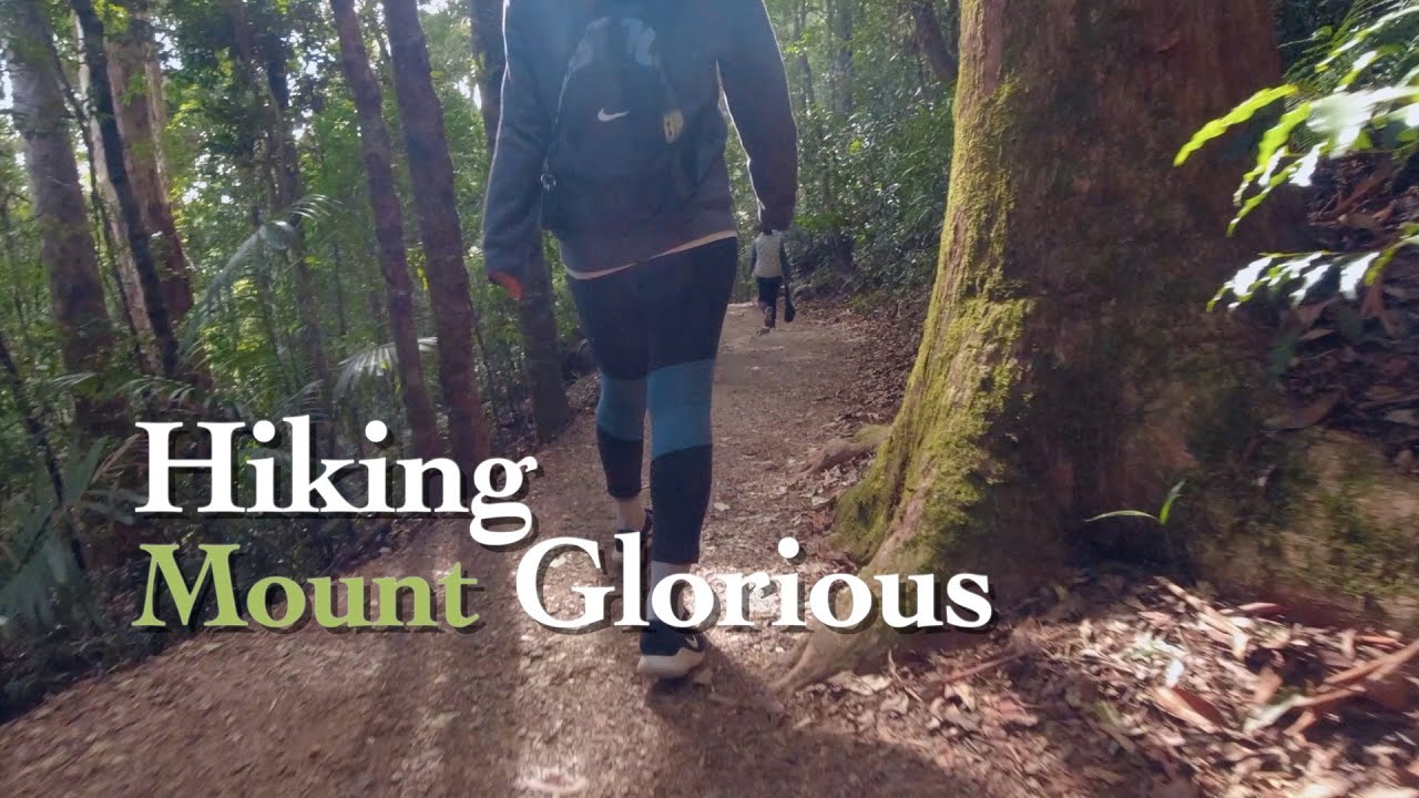Hiking Mount Glorious, Maiala, D'Aguilar National Park, Brisbane - YouTube