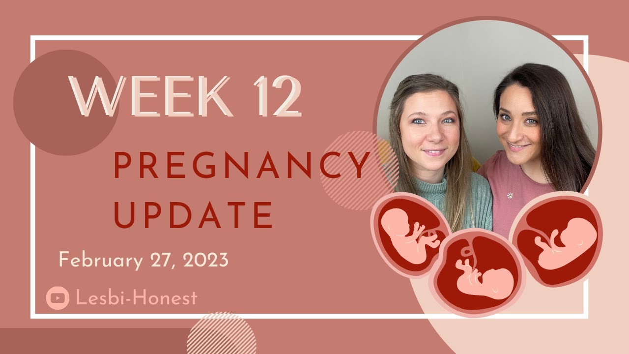 Week 12 pregnancy update - YouTube