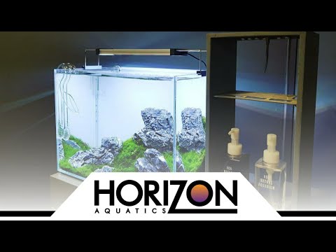 ADA Mini M Traditional Iwagumi Style (cinematic) - YouTube