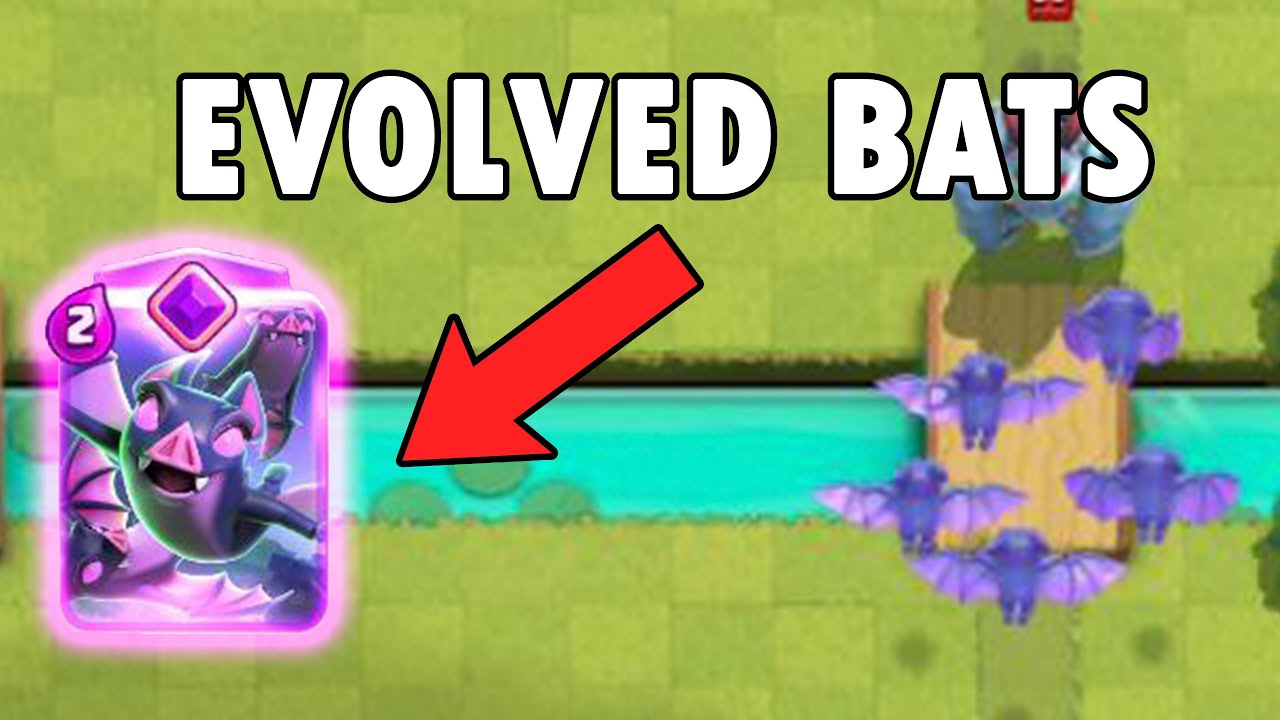 EVOLVED BATS. ||| CLASH ROYALE!!! - YouTube