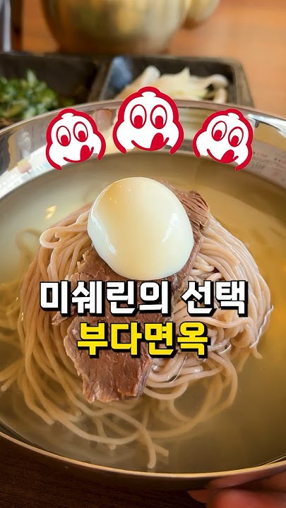 평양냉면의 수학의 정석미슐랭이 선택한 평냉의 맛은 Youtube