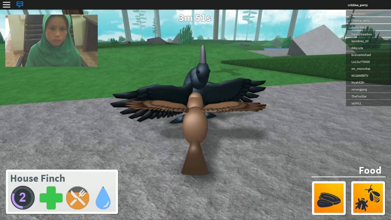 ROBLOX - Bird Simulator - YouTube
