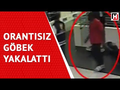 ORANTISIZ GÖBEK YAKALATTI