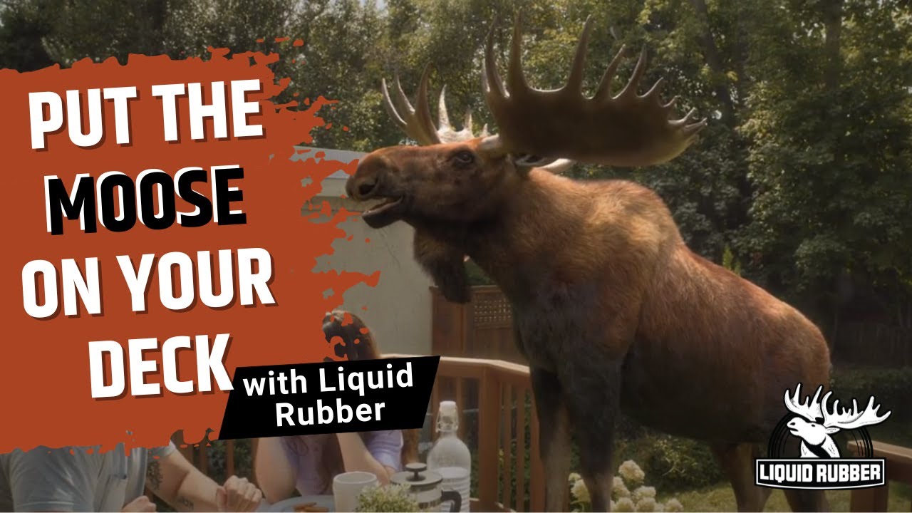 Liquid Rubber - Put the Moose on your Deck | Protect and Restore your ...