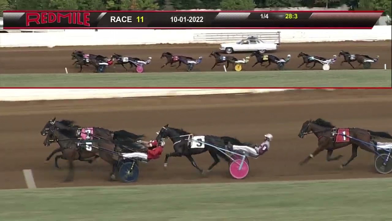 Red Mile Racetrack 10/01/2022 Race 11 - YouTube