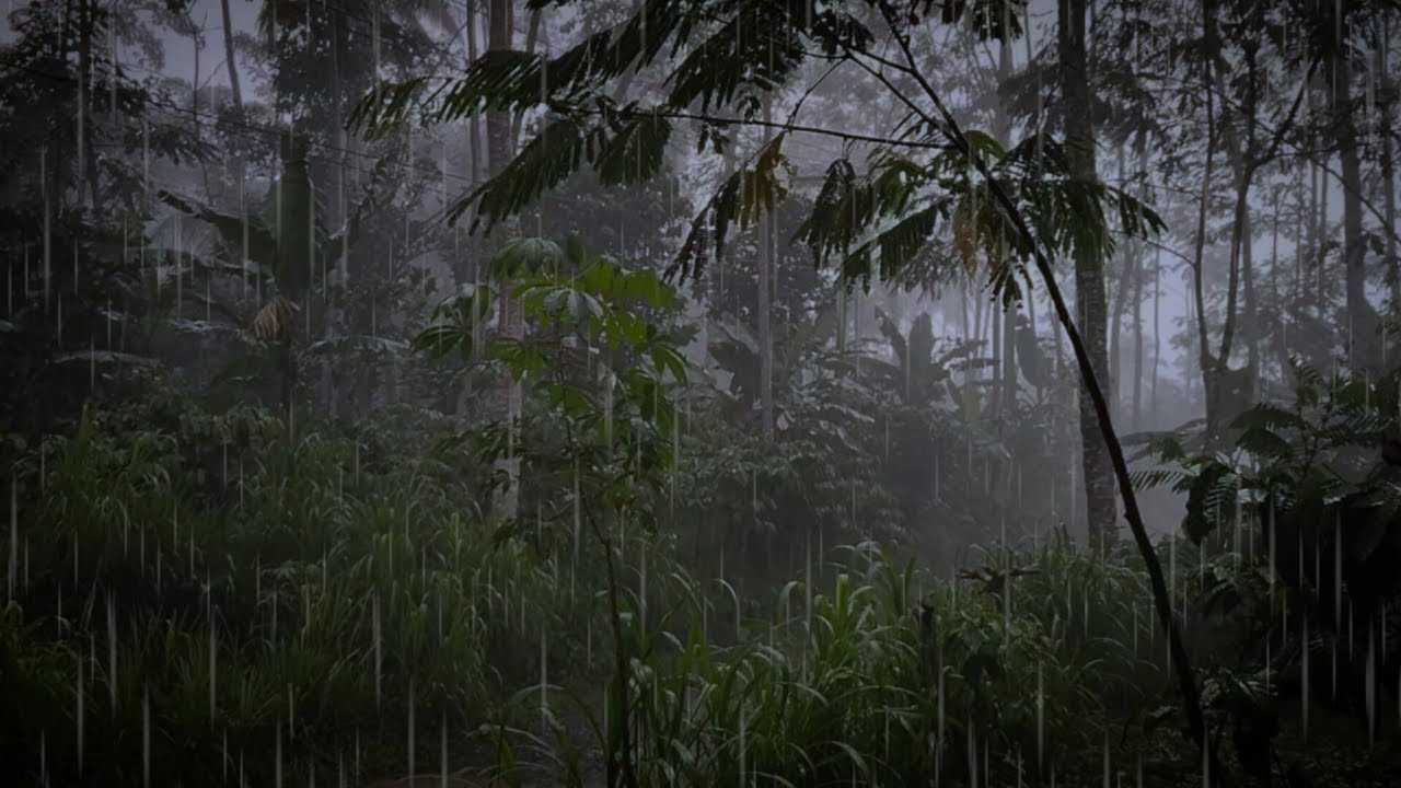 Perfect Rain Sounds For Sleeping And Relaxing - Rain And Thunder sounds ...