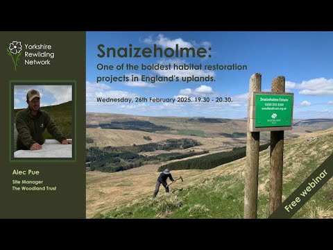 Snaizeholme: One of the boldest habitat restoration projects in England ...