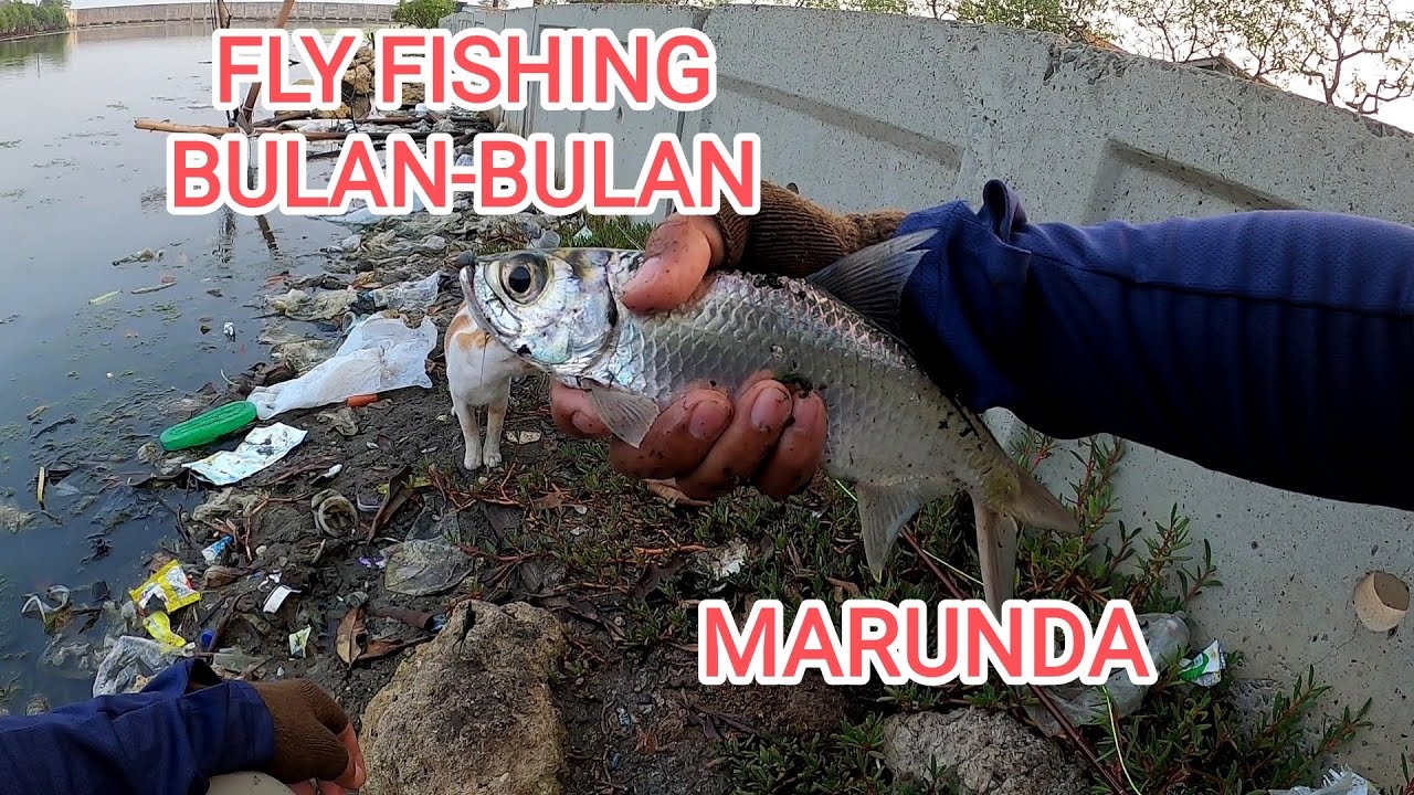 Mancing Bulan-bulan di Marunda | Fly Fishing Tarpon Marunda - YouTube