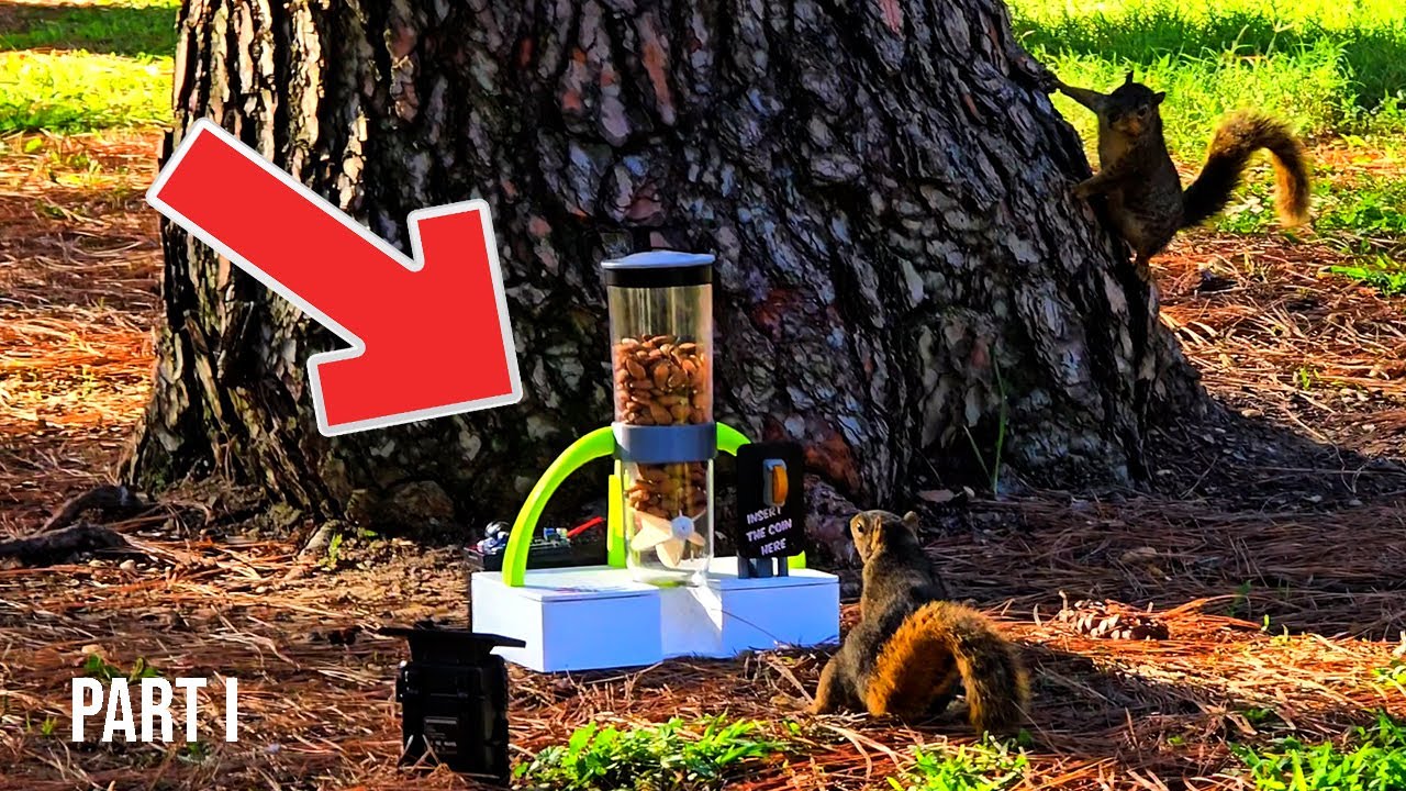 Squirrels Using a Vending Machine and getting smarter! - YouTube