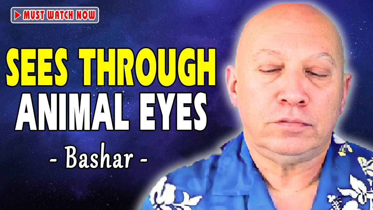 Bashar Explains How Joe Safhine Sees Through Animal Eyes | Bashar Anka ...