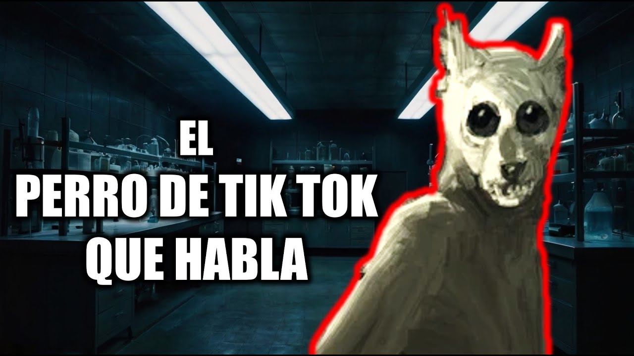 BUNNY: EL PERRO HUMANO (Documental) - YouTube