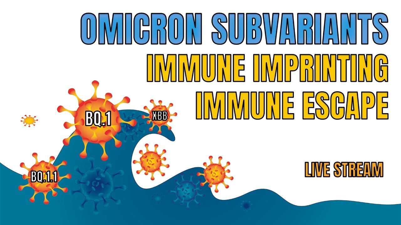 COVID Surges, Immune Escape and Imprinting. What dose protection ...