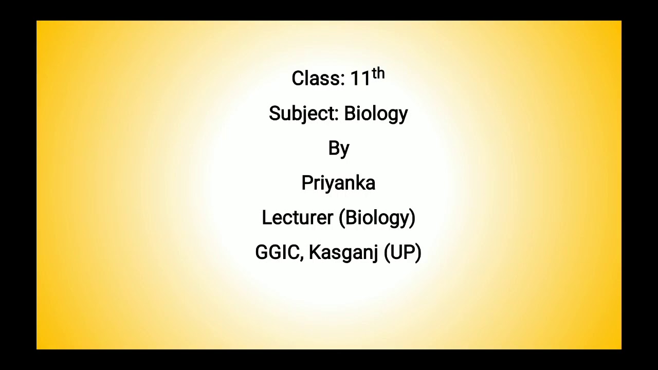 Class 11 superclass Pisces and tetrapoda - YouTube