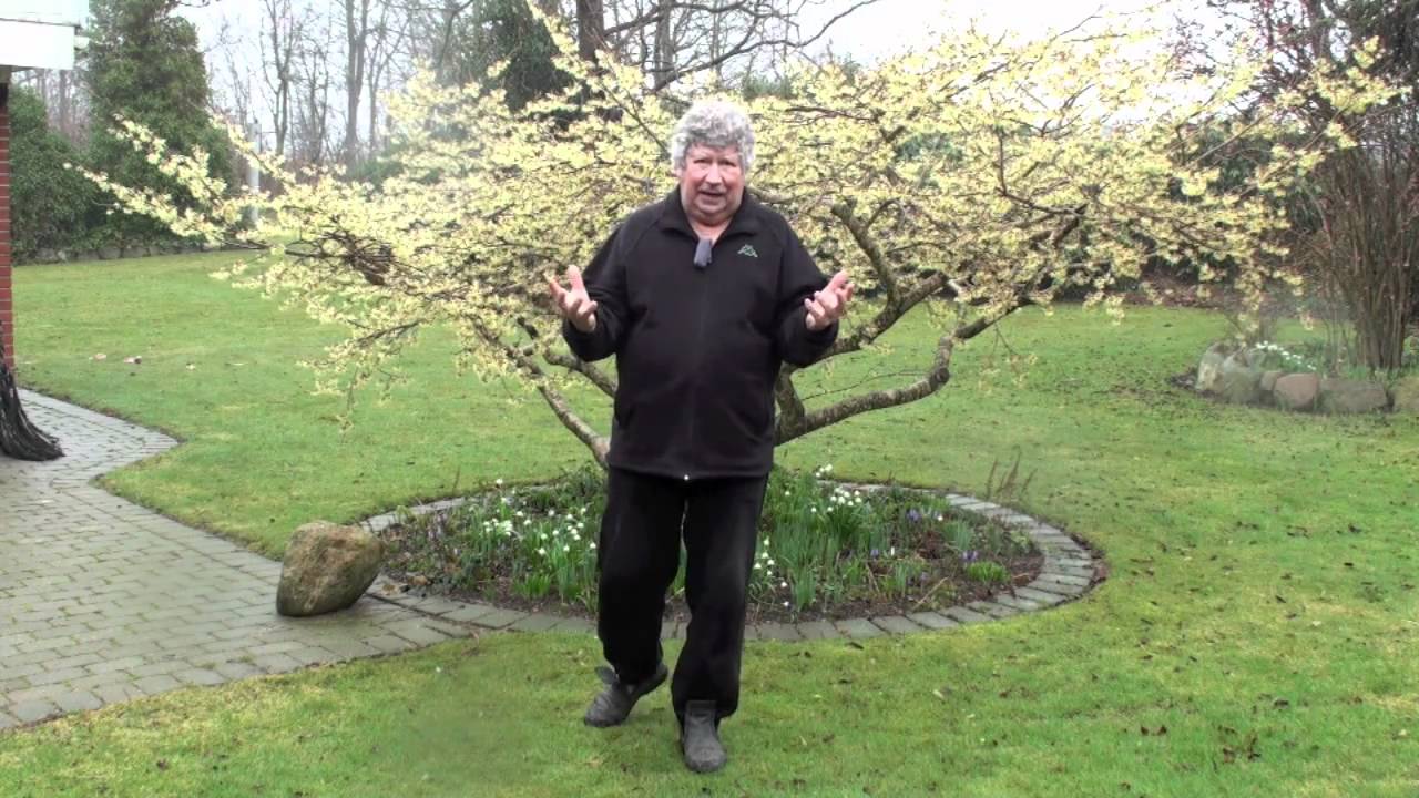 Ugens Ord af Moses Hansen d.31.03.2011 - YouTube