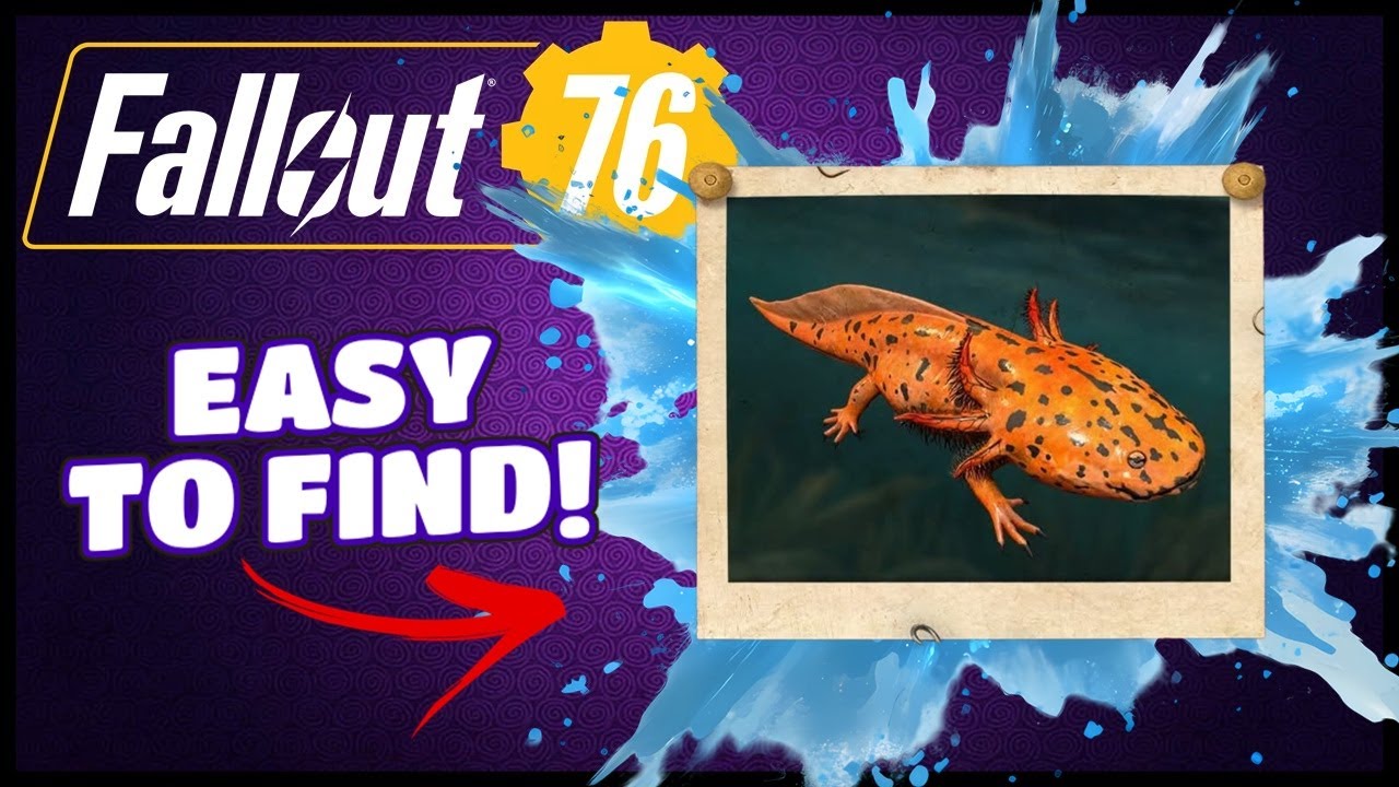 Where To Find The Spotted Axolotl - Fallout 76 - YouTube