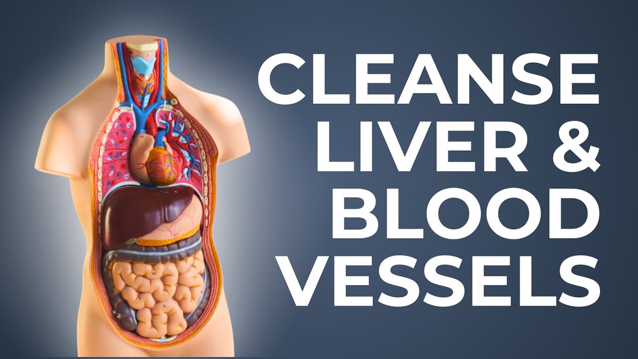 Naturally Cleanse The Liver And Blood Vessels Quickly | Nature Relives ...