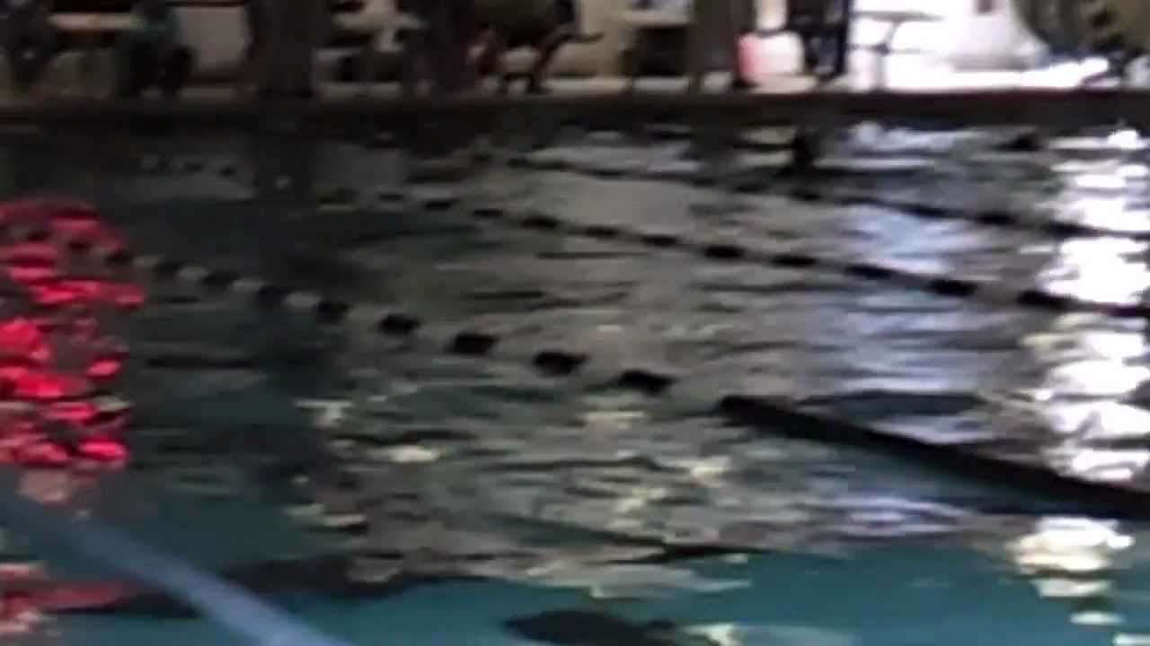 200yrd Breaststroke 2013 Adams Butzel Championship - YouTube