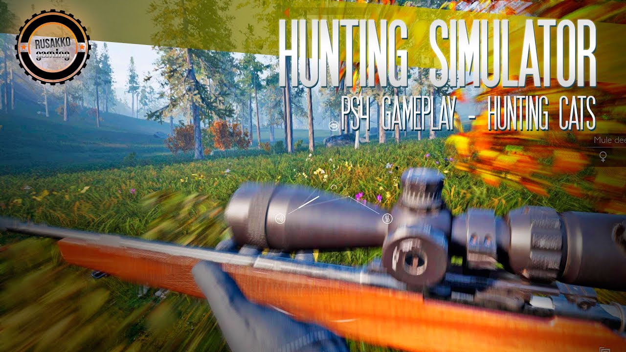 Hunting Cats – Hunting Simulator PS4 Gameplay - YouTube