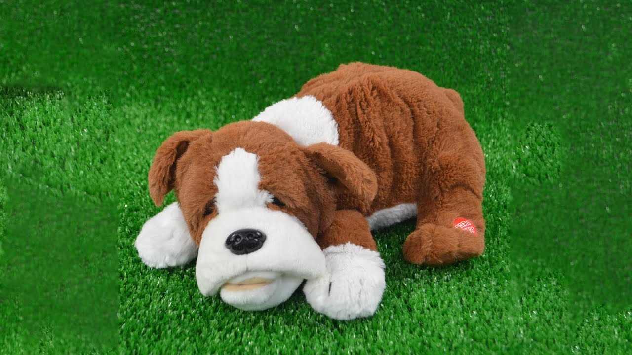 68380 - Snore'n'Snuggel, Hund Friedolin mit Hangtag, 29cm - YouTube