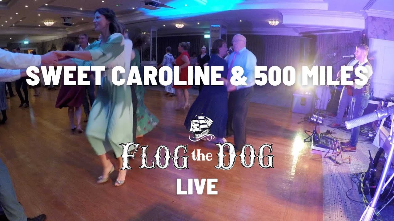 Sweet Caroline & 500 Miles (LIVE) - Flog The Dog Wedding Band Ireland ...