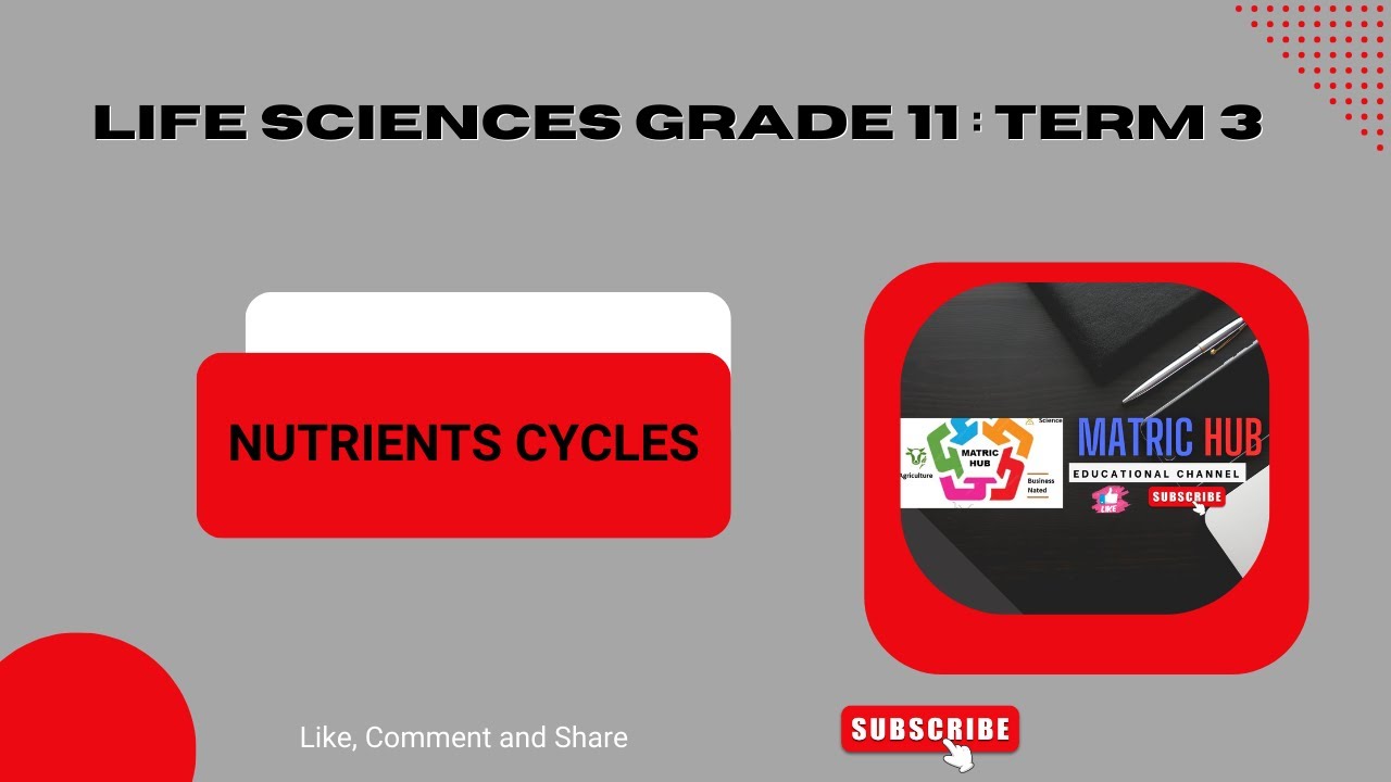 Grade 10 Life Sciences :Nutrient Cycles - YouTube