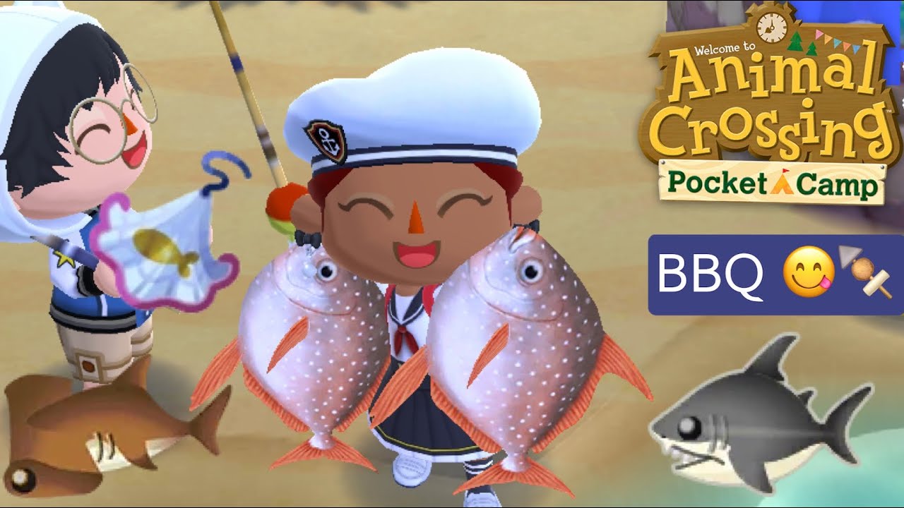 Fishing Tournament: BBQ | Animal Crossing Pocket Camp - YouTube