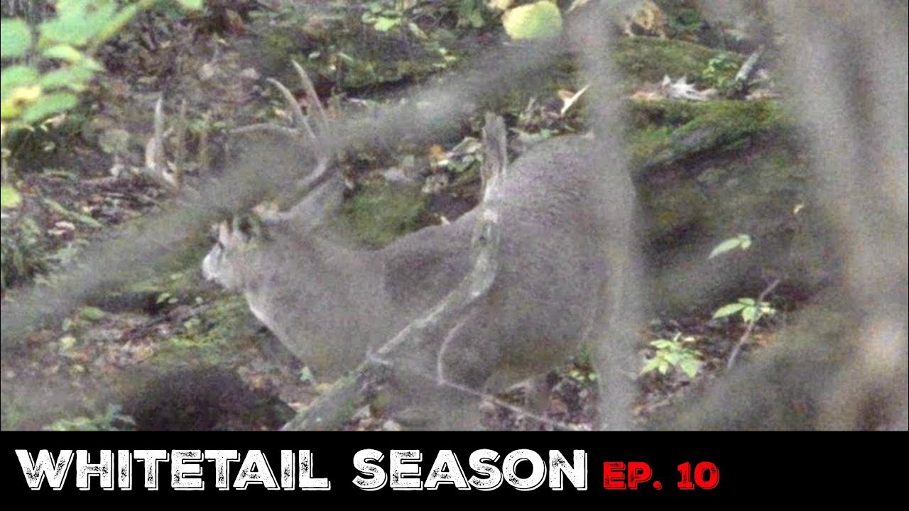 HUGE 10 Point Buck Hunt!! (Public Land) - YouTube