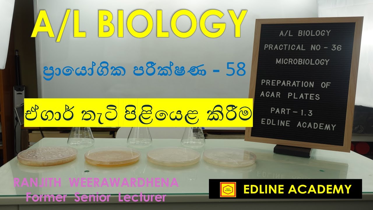 Microbiology Practical No 12 - Preparation of agar plates. Advanced ...