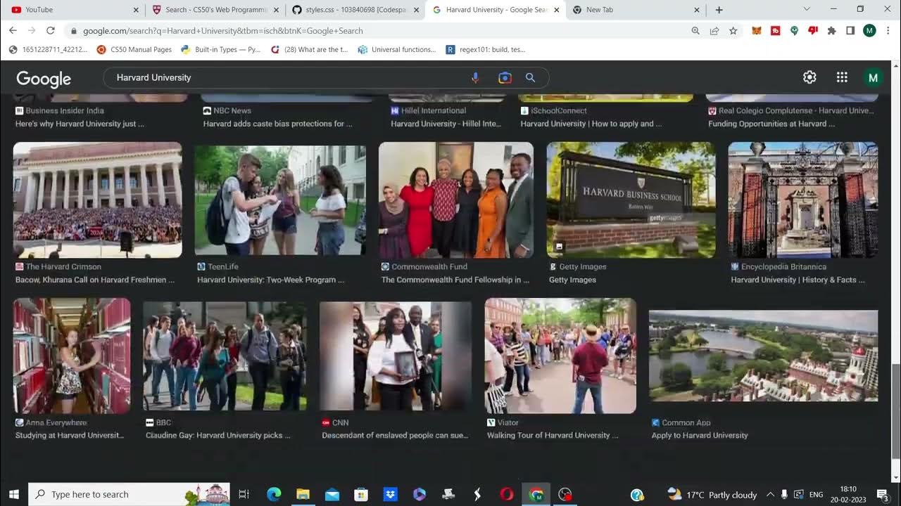 PROJECT 0: SEARCH | CS50’s Web Programming with Python and JavaScript | CS50W | (CS50 WEB ...
