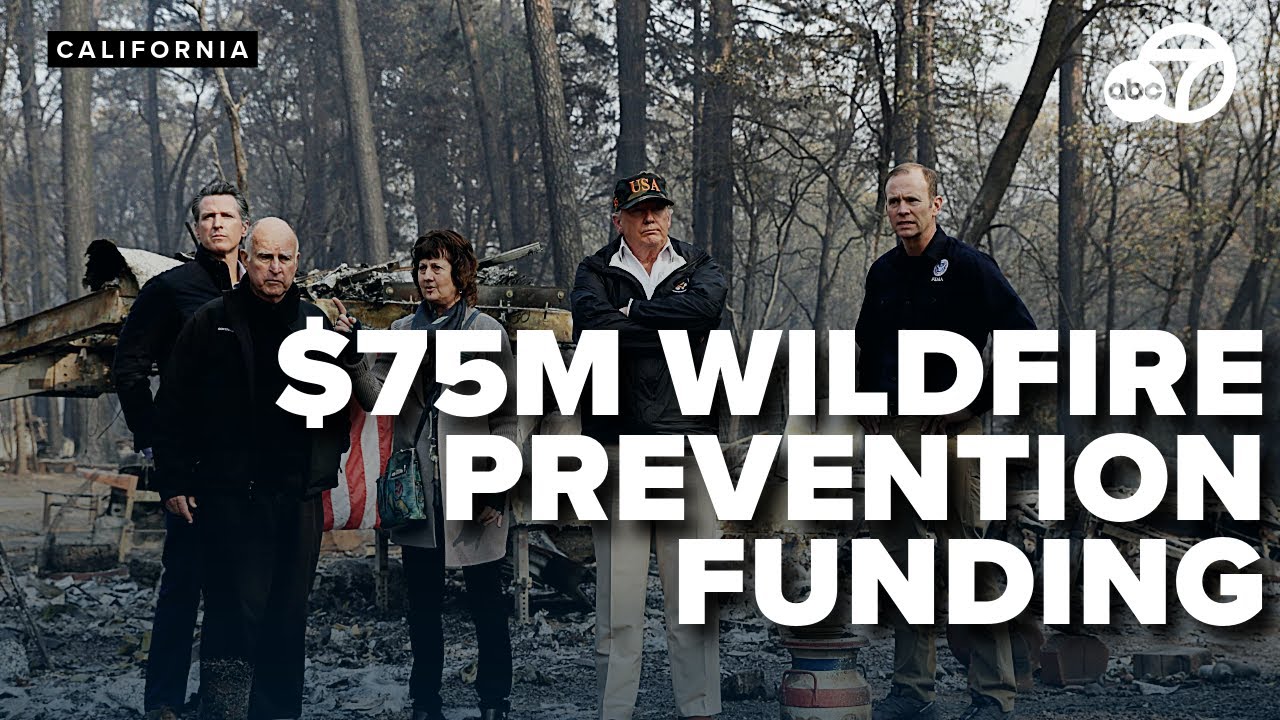 Sierra Pacific receives $75M from US Forest Service to combat wildfires ...