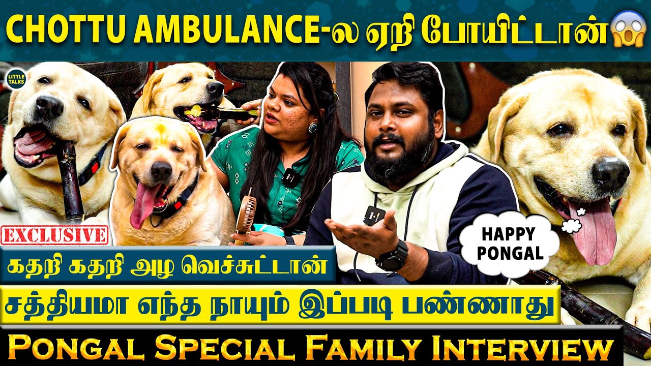 டேய் Chottu😫 எதிர் வீட்டு Aunty கிட்ட செம திட்டு🤣 Painting-ல இவன் புலி🔥 ...