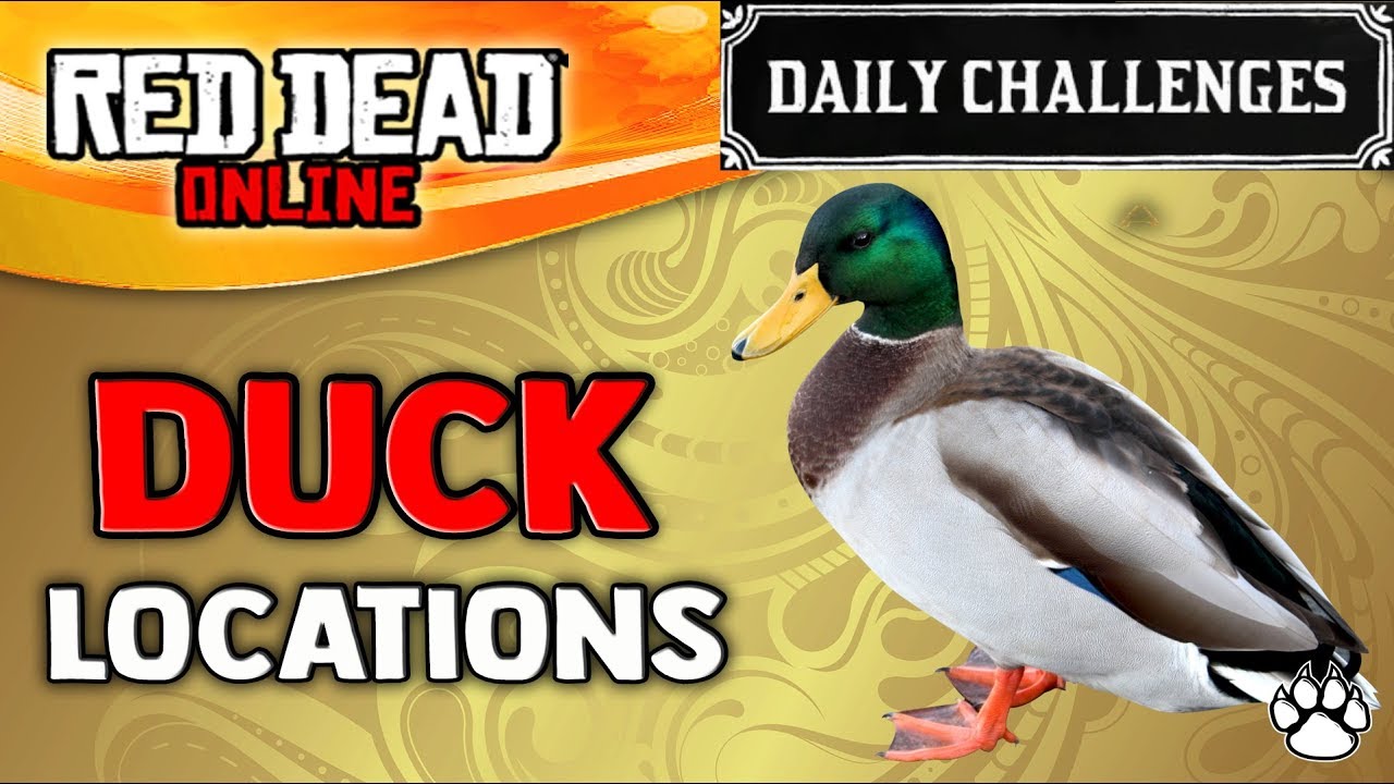 Red Dead Online - Duck Locations - Daily Challenge - RDR2 - Ducks ...